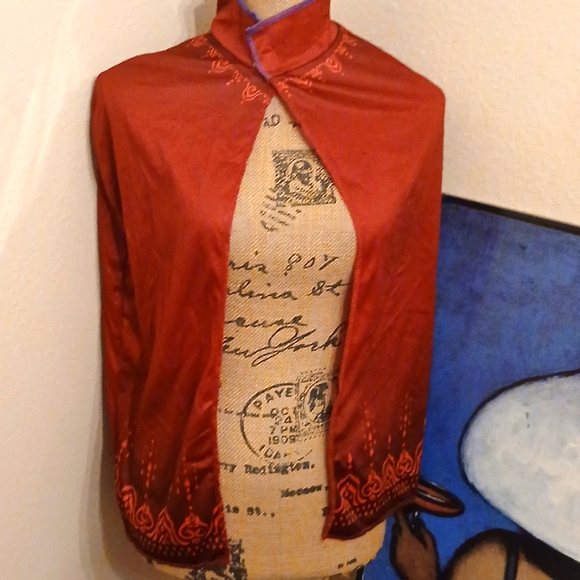 Disney | Costumes | Disney Raya Stand Alone Cloak Only Measured | Poshmark
